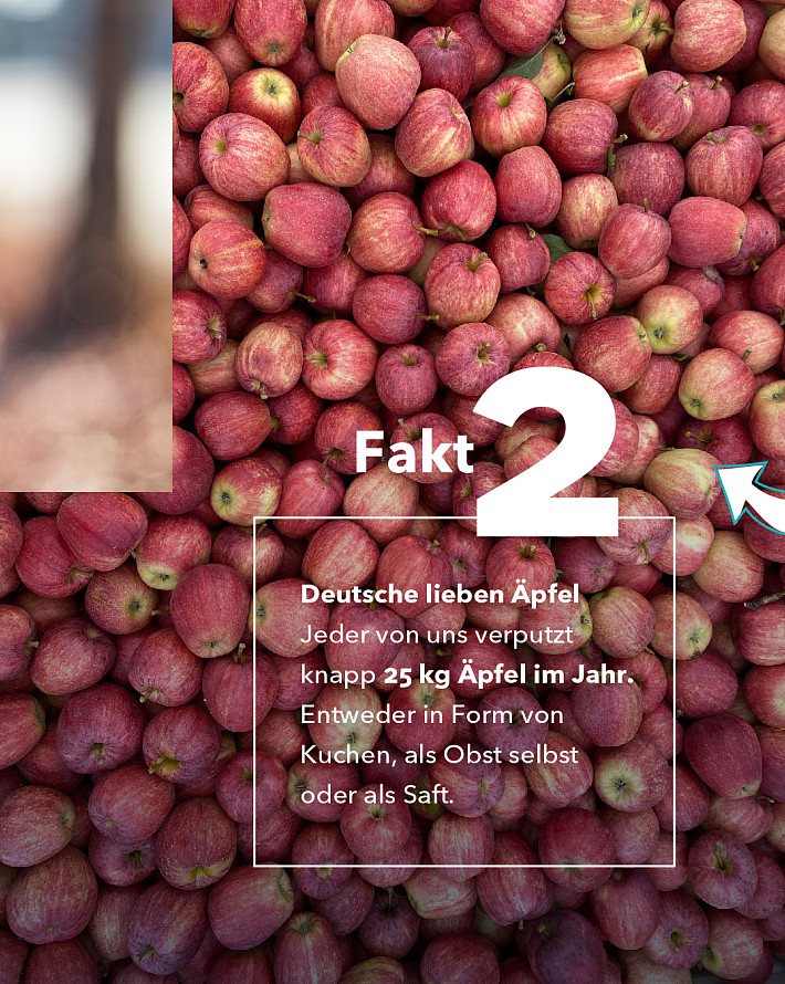 Herbstzeit ist Apfelzeit, 5 Fakten über Äpfel | NAH.SH